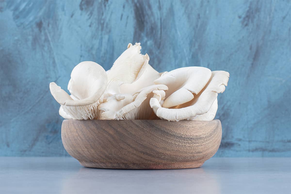 5 reasons to eat oyster mushrooms - Boglar Champ