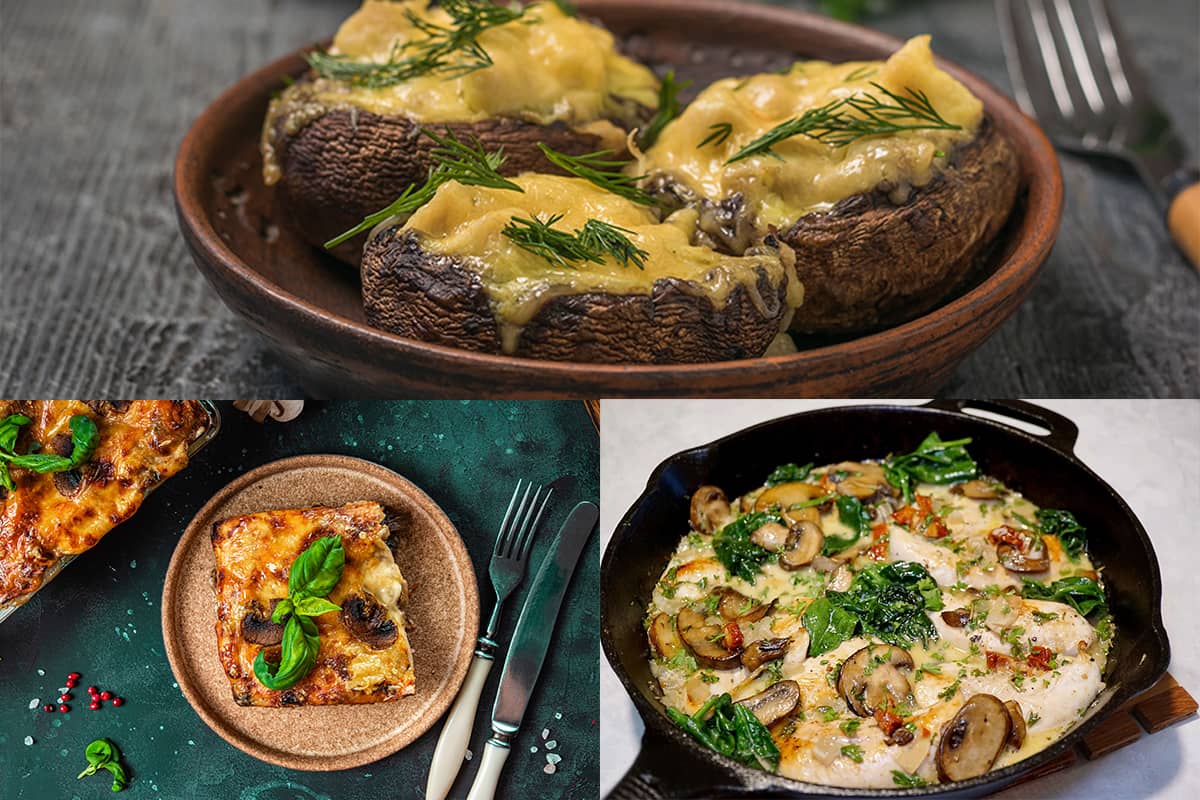 Boglar Champ – Champignon